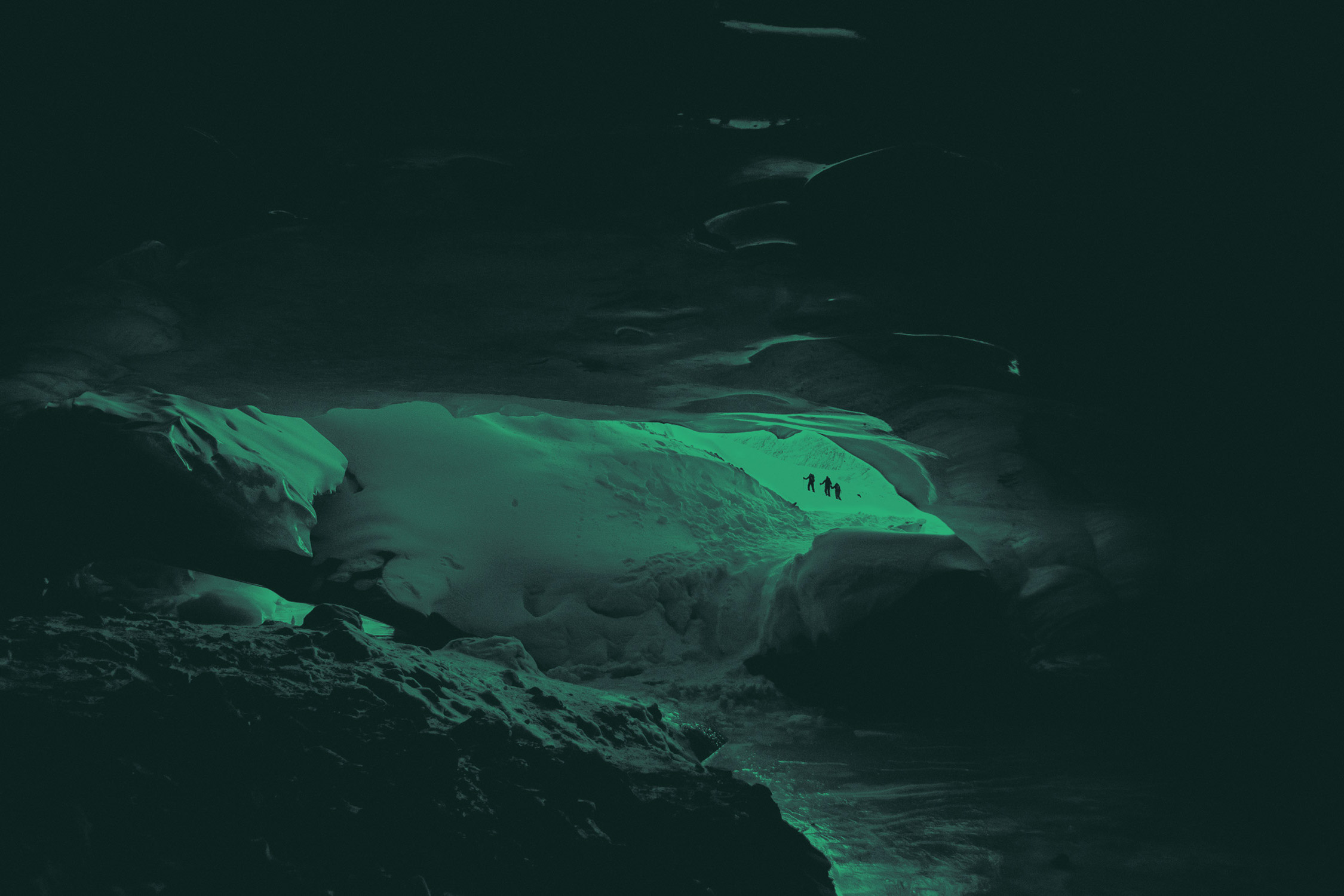 Discovery Engine - NGM Bio